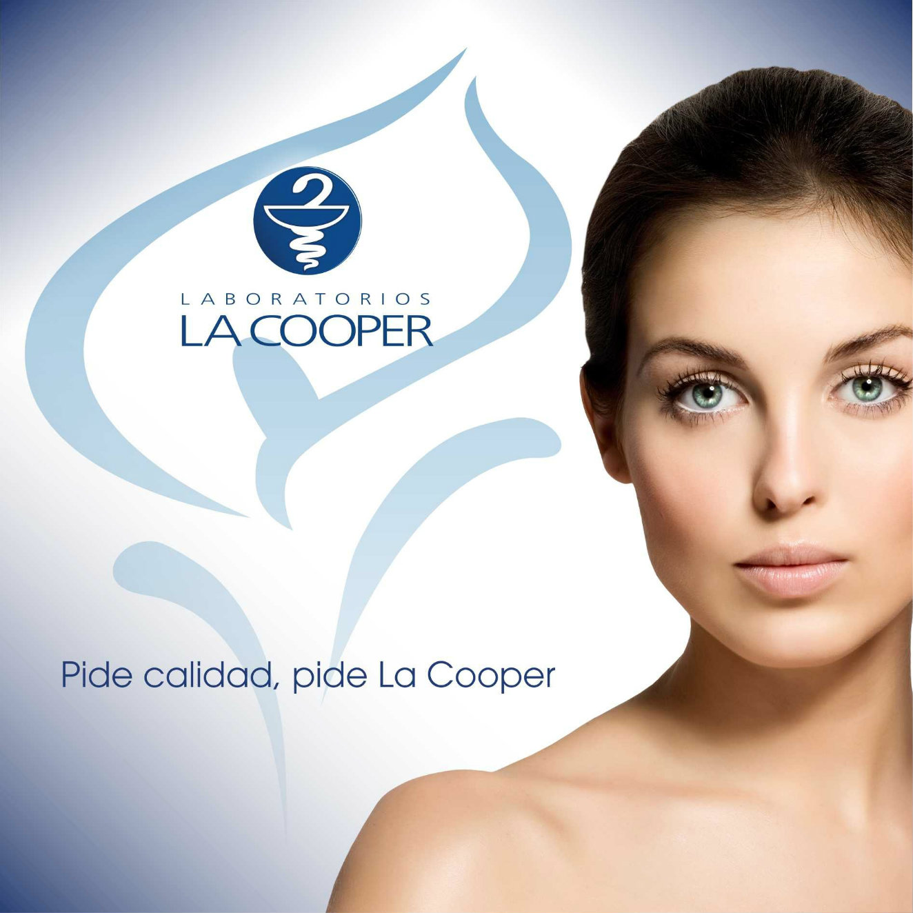 Lacooper Catalog